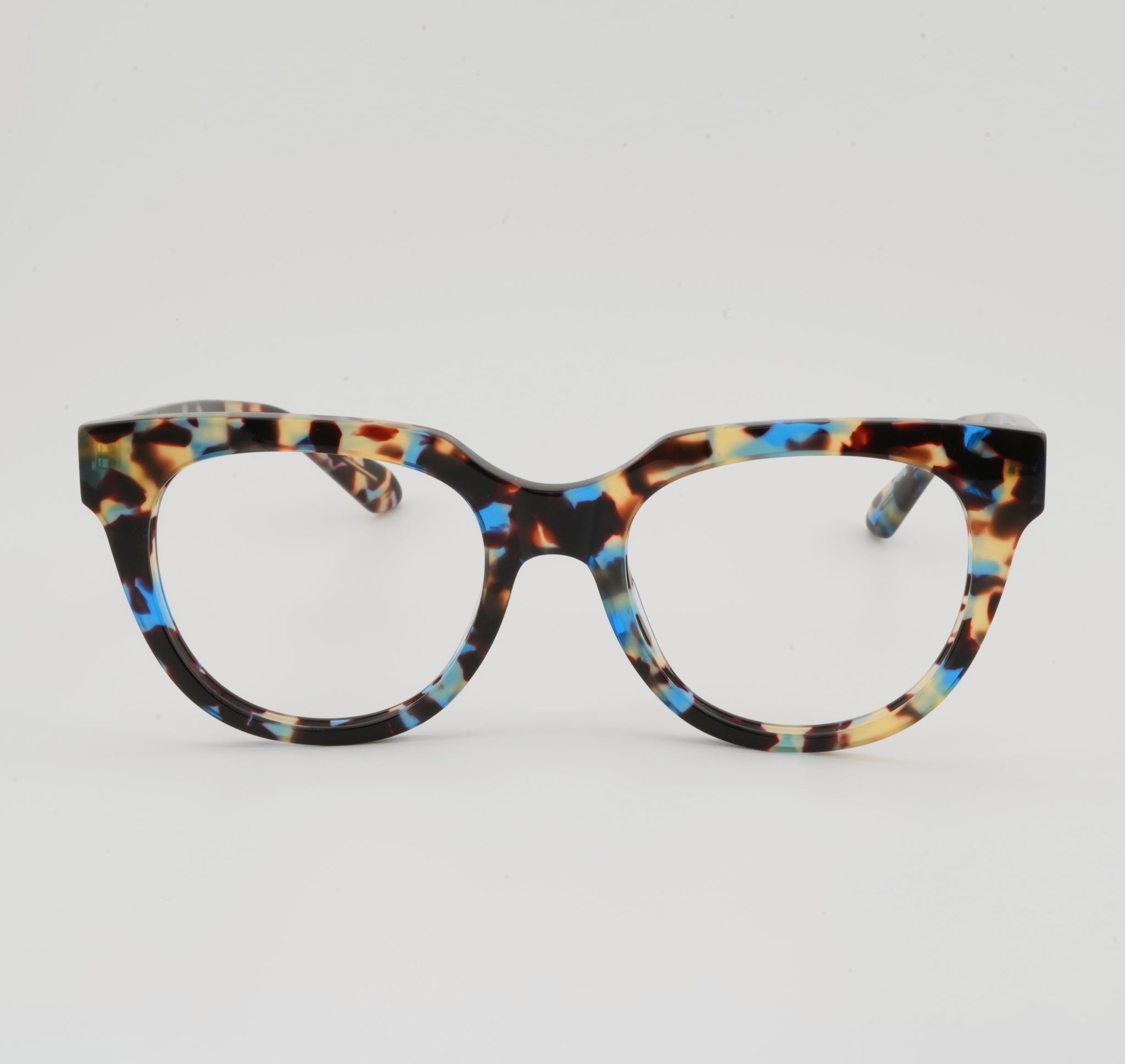 Deep tortoise warmth with bursts of ocean blues and sunset ambers